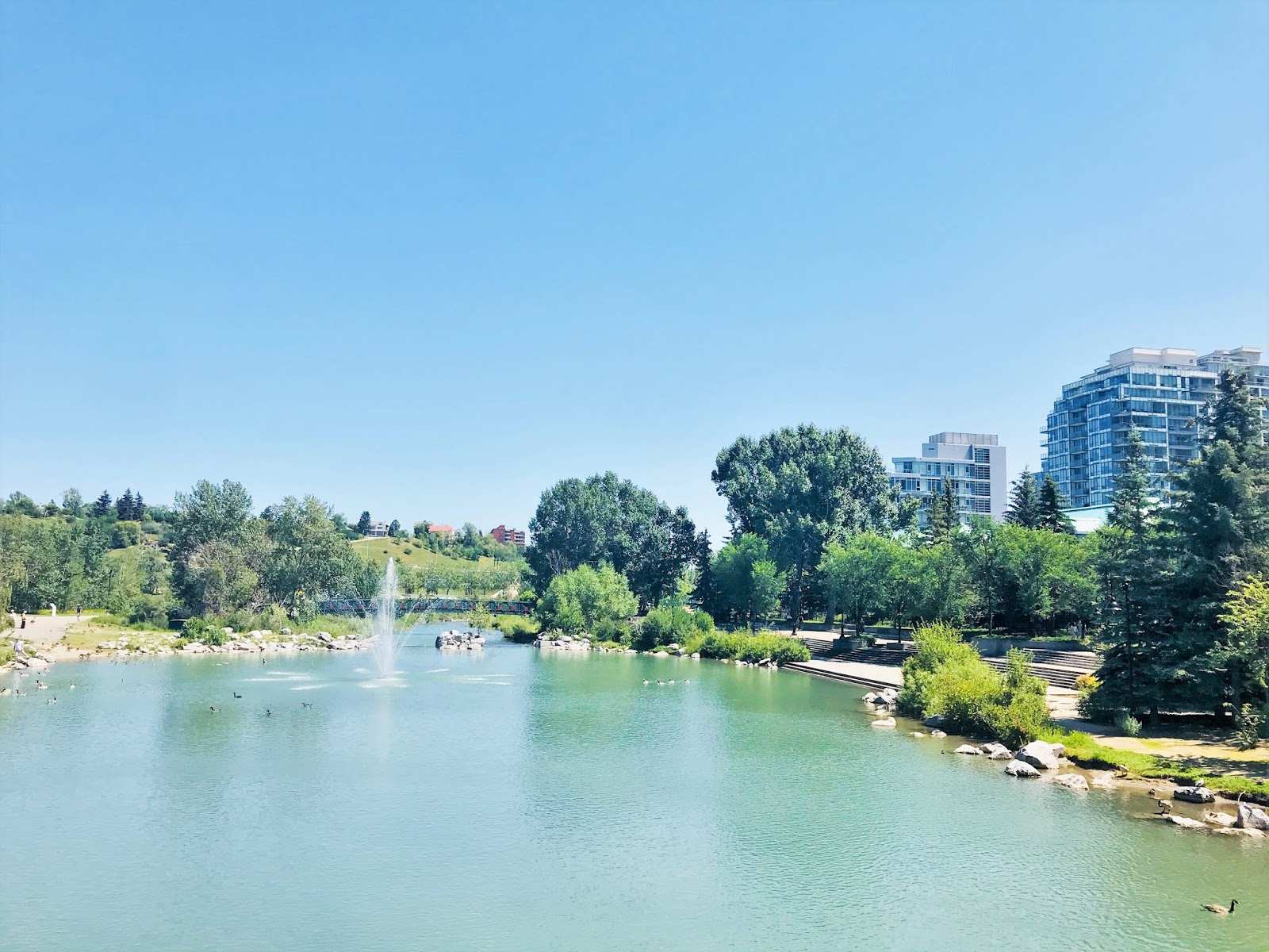 Calgary Alberta: 1 City 5 Ways | MAPLE LEOPARD