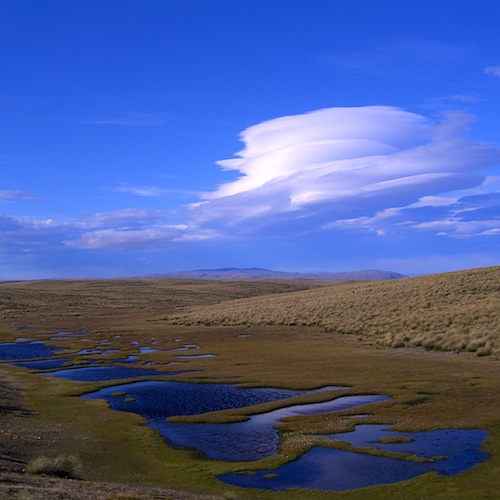 Theobrominated: August 2011