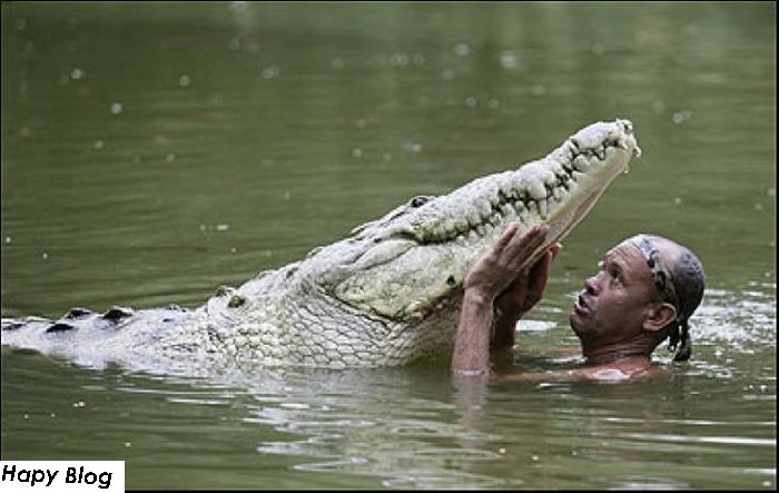 Unusual friend - a crocodile Pocho (photos + video)Happy Blog