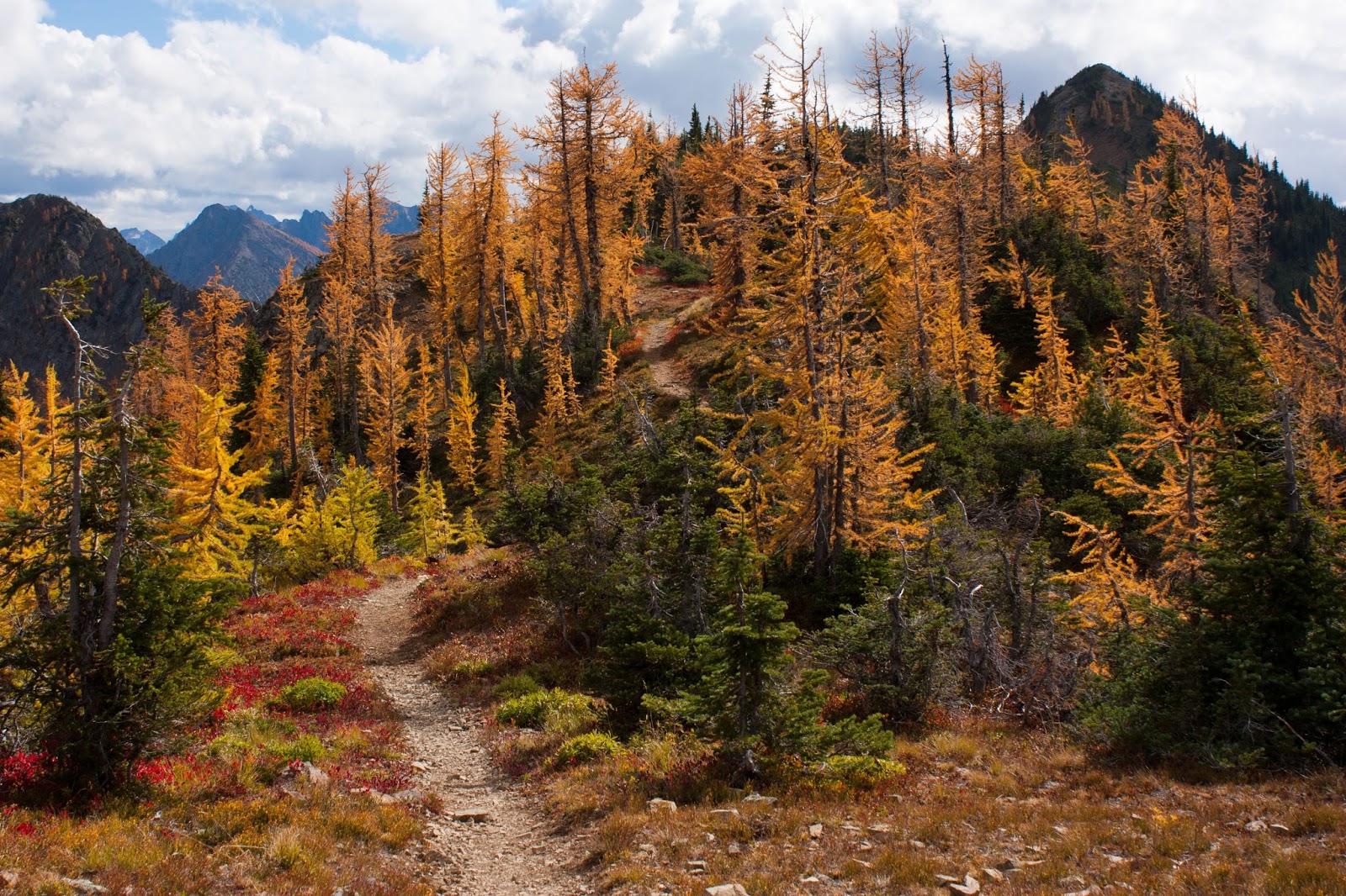 Hiking Shenandoah: Grasshopper Pass
