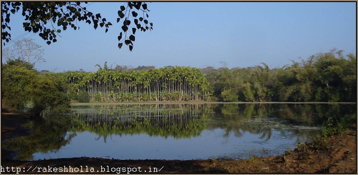 The Voice of Greenery - Trekking and Travelling in Western Ghats ...