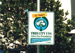 Of Paramount Importance: Today Is Arbor Day - Shoreline's Trees Need ...