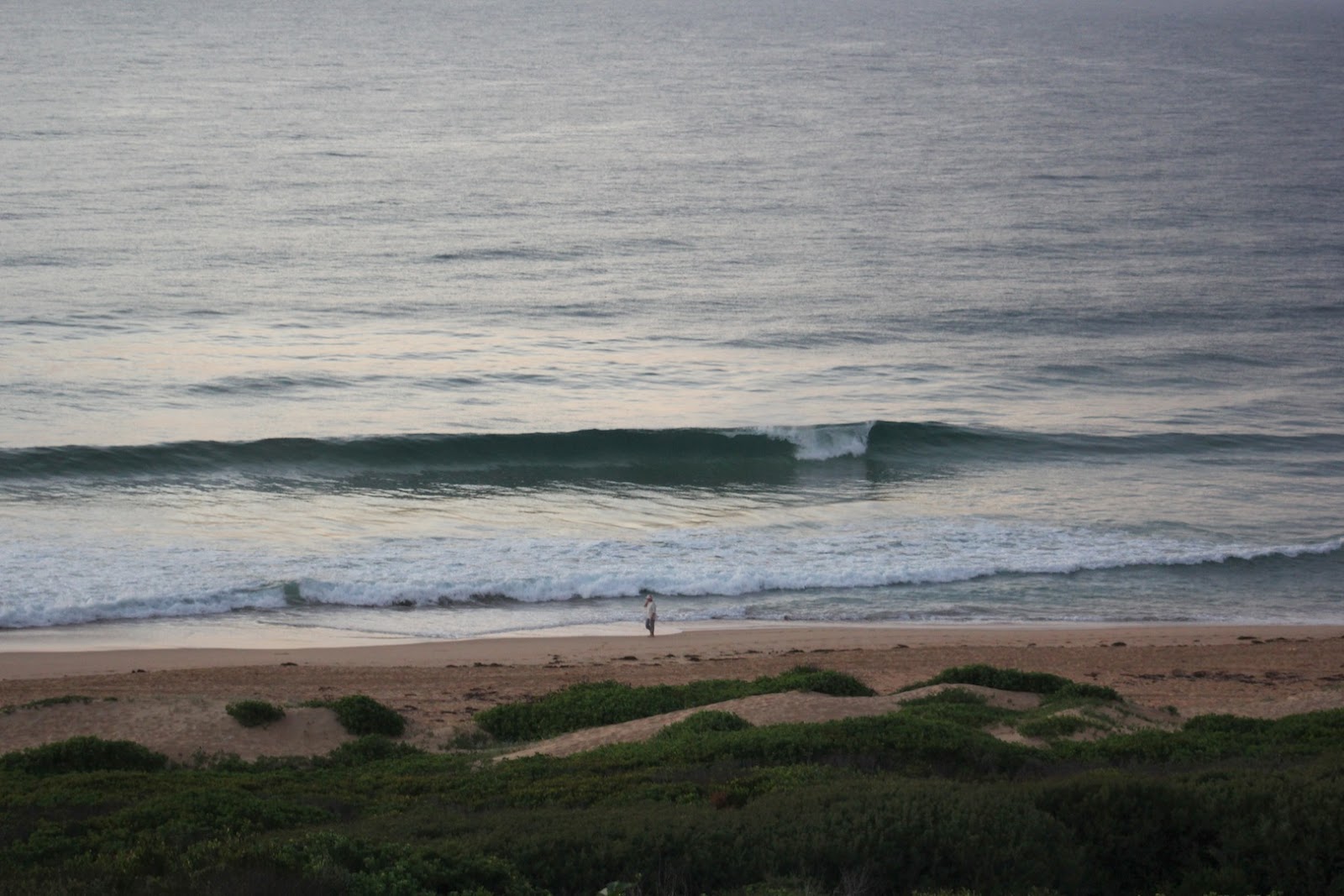 Shelly Beach Surf Report