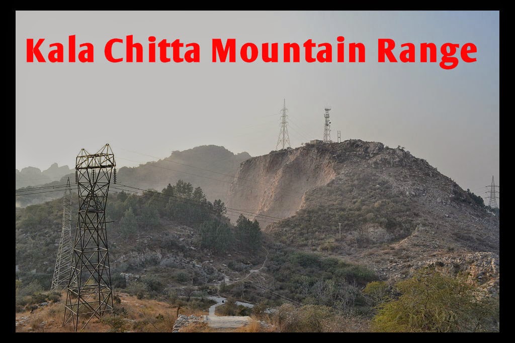 Spreebird: February 2015