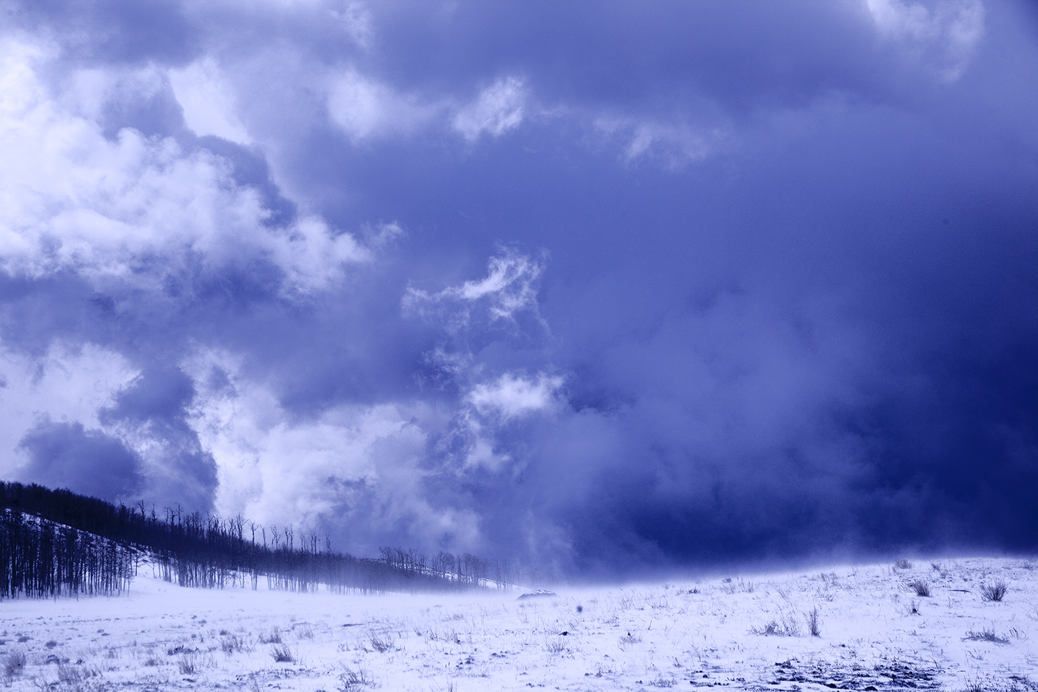 Steve Immel Photography: Stormy Weather