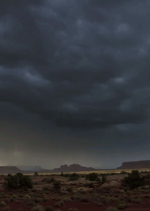 daily timewaster: Meanwhile, in Arizona....