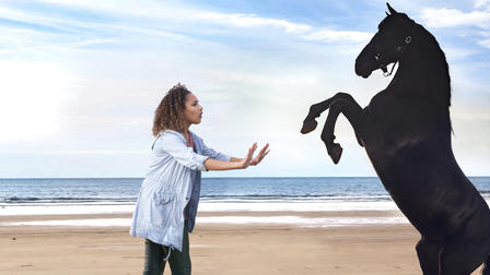 Isso ou Aquilo: Resenha: Série Zoe e Raven (Free Rein)