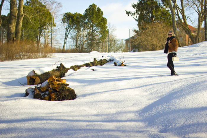 frame collections: metsuri