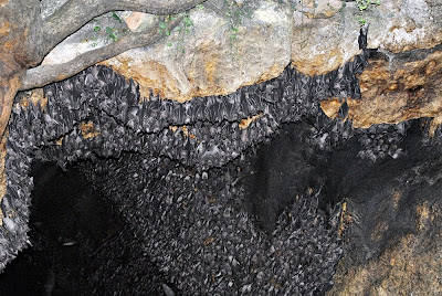 Mga Lakwacherang Doktora: The Davao Experience: Monfort Bat Cave and ...