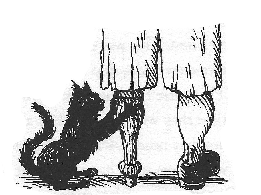 Sam Silver Undercover Pirate: How Harry Hopp lost his leg