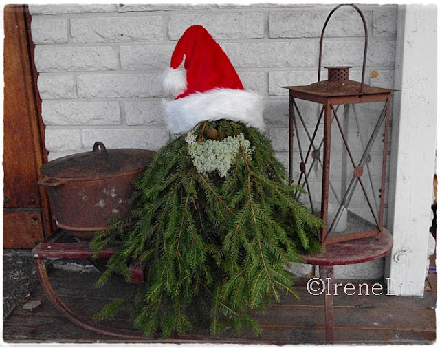 Blomster: Nu har jag gjort årets granristomte!