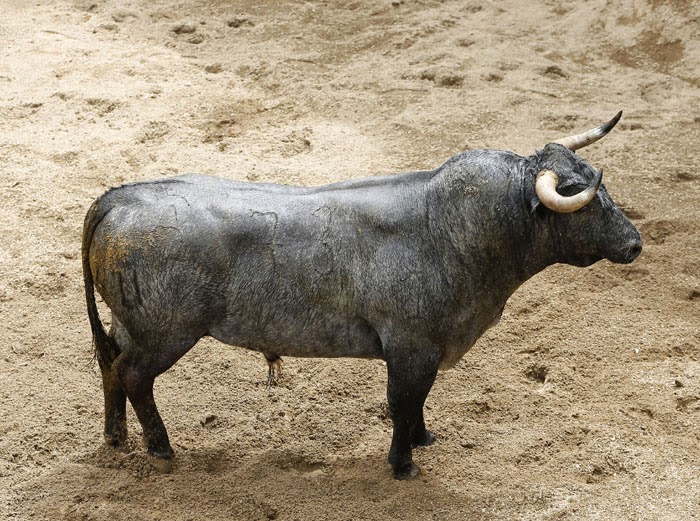 Lascosasdeltoro: "Minervo" abre la undécima de feria en Sevilla.