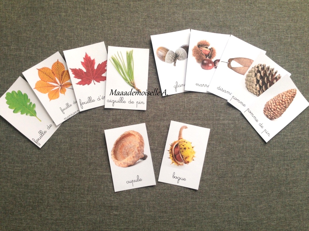 Maaademoiselle A.: || Cartes de nomenclature à télécharger gratuitement ...