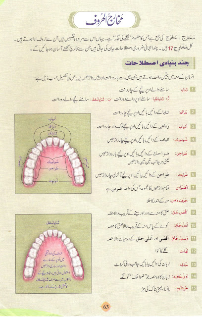 Learn Quran Online: Teeth name in tajweed