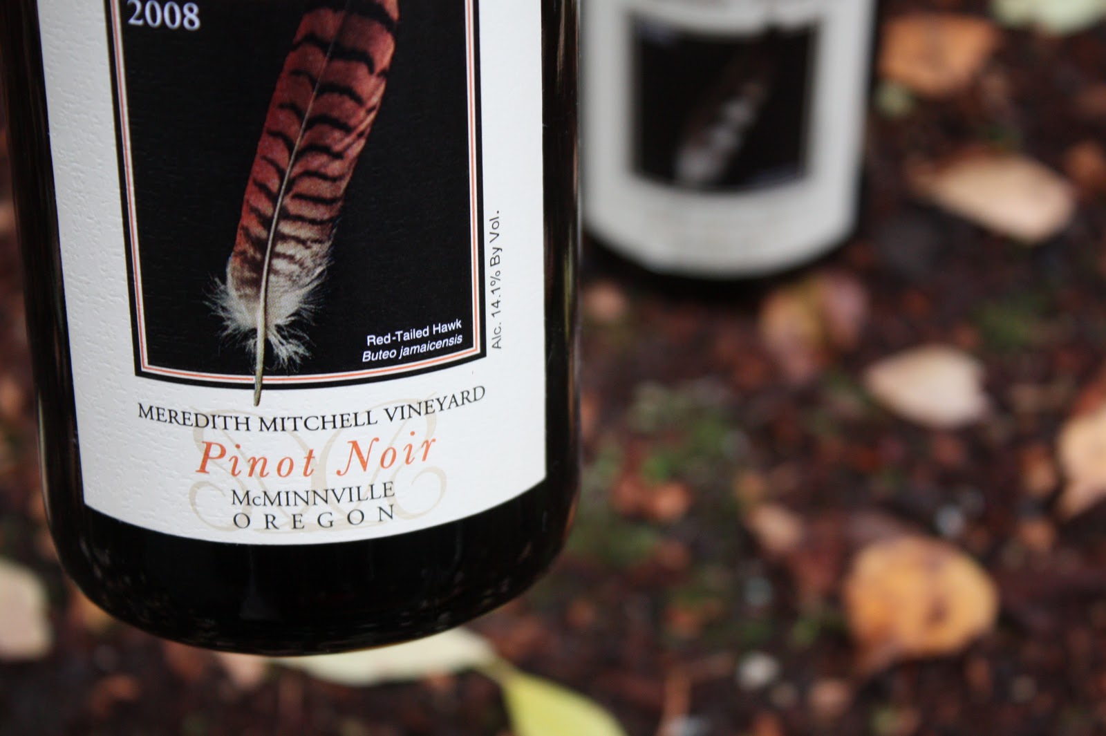 Raptor Ridge: Telling Tales of Terroir ~ The Northwest Wine Anthem