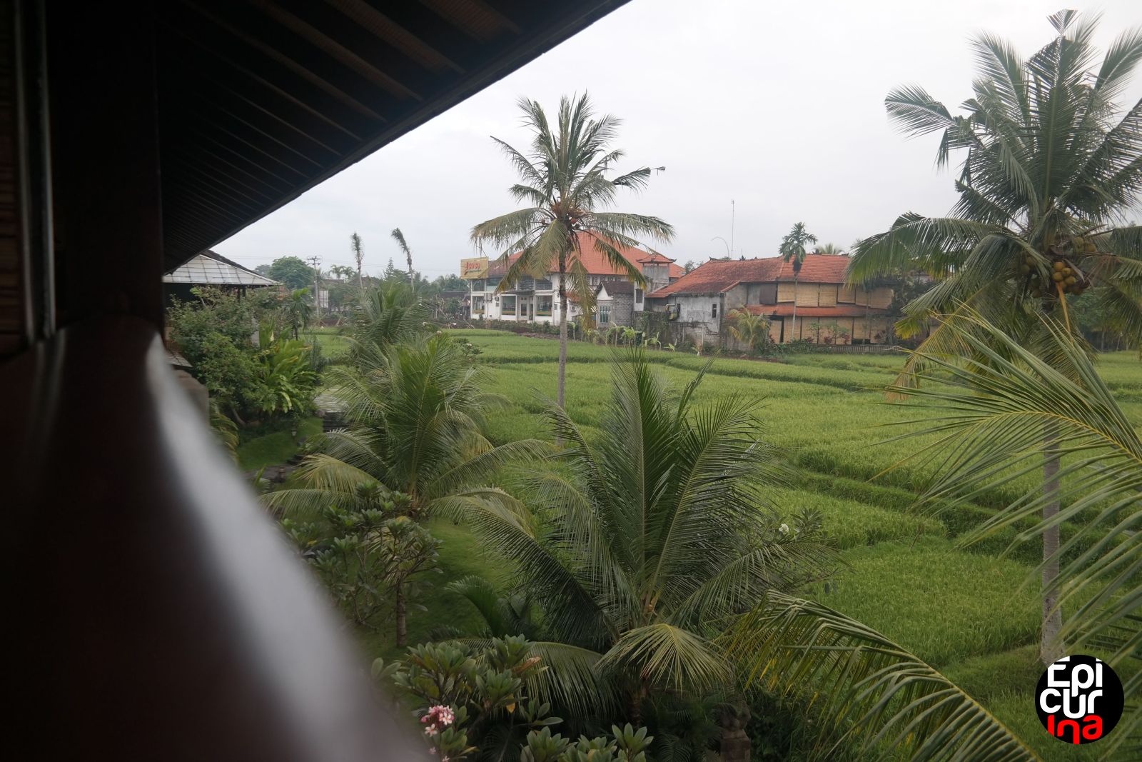 Epicurina - Bali Food Adventure Blog: Alaya Ubud Resort Relaxing Oasis ...