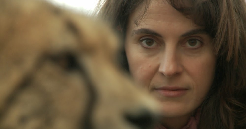 Talking to Animals : The Animal Communicator Documentary Film ...