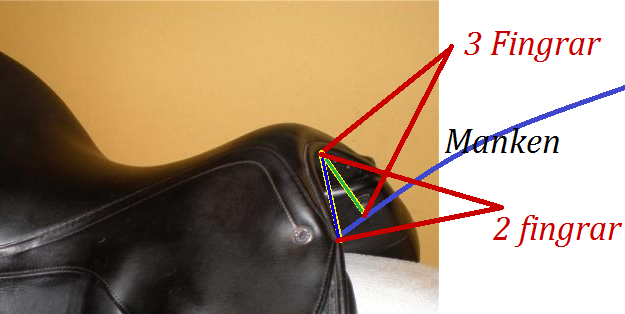 Photos And Horses: Hur väljer jag rätt sadel?