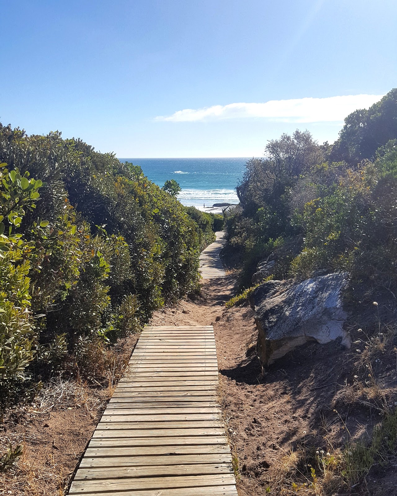 Monkey Valley Nature Resort - Being Brazen