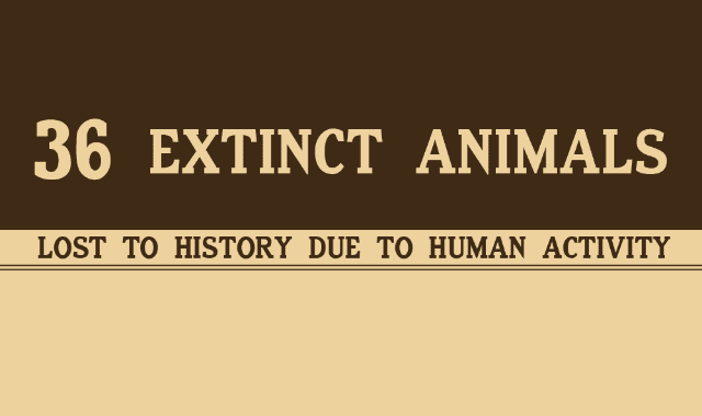 These 36 Animals Went Extinct Because of Humans #Infographic - Visualistan