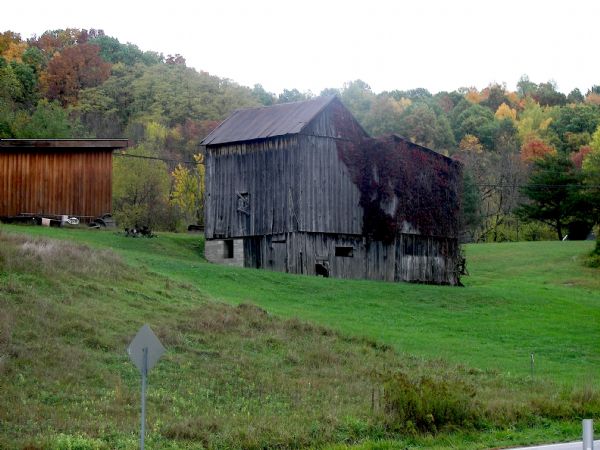 PhotoBarns: Old wooden barns.......