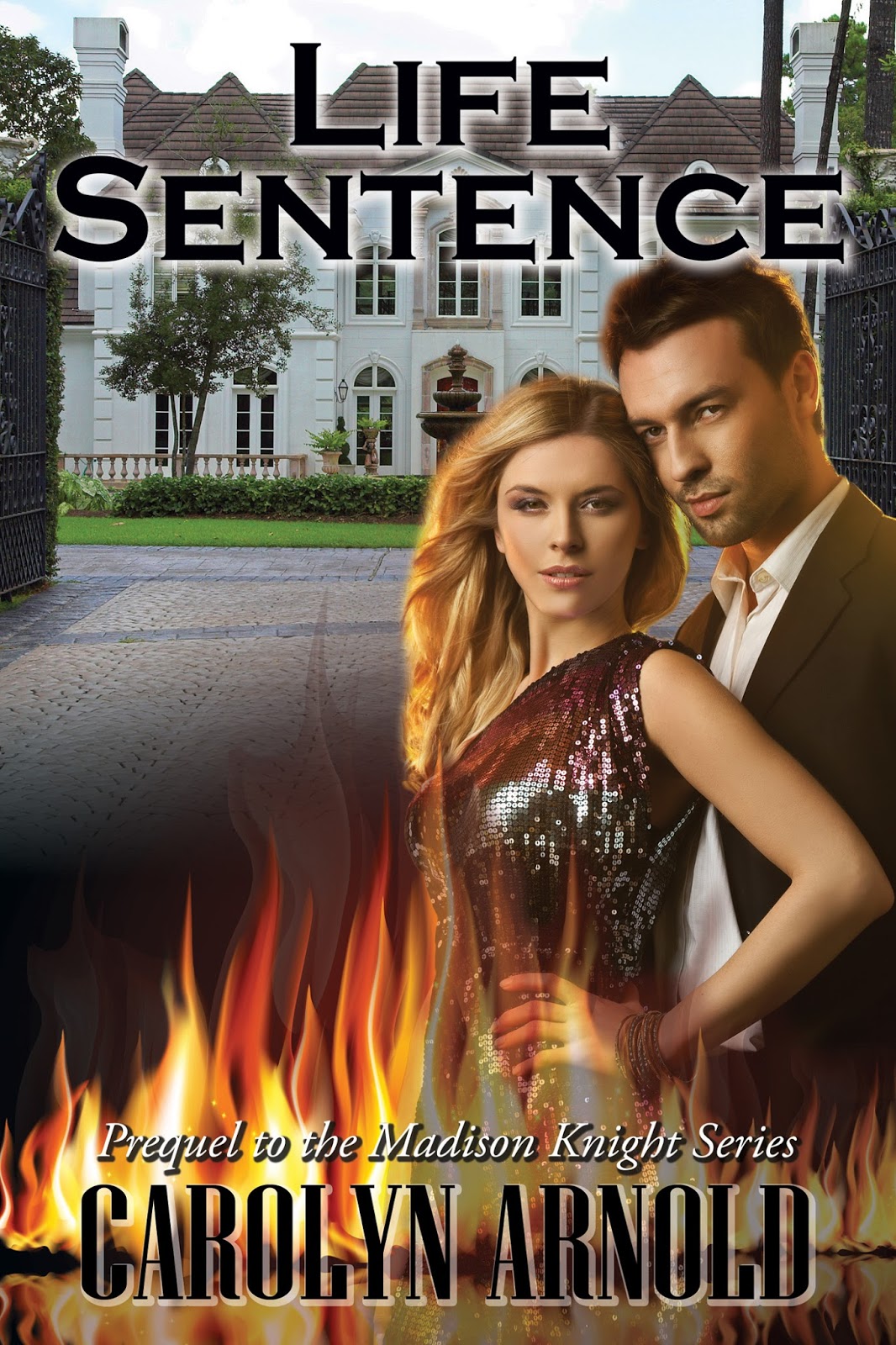 South American Mystery Novels And Stuff NEW RELEASE LIFE SENTENCE ROMANTIC SUSPENSE BY south-american-mystery-novels-and-stuff-new-release-life-sentence-romantic-suspense-by
