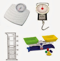 Wild Adventures: What's the "Matter"?