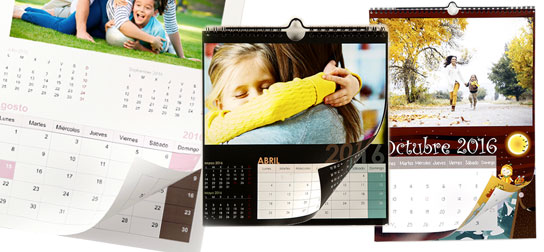 ¡A ORGANIZARSE!: Tipos de almanaque