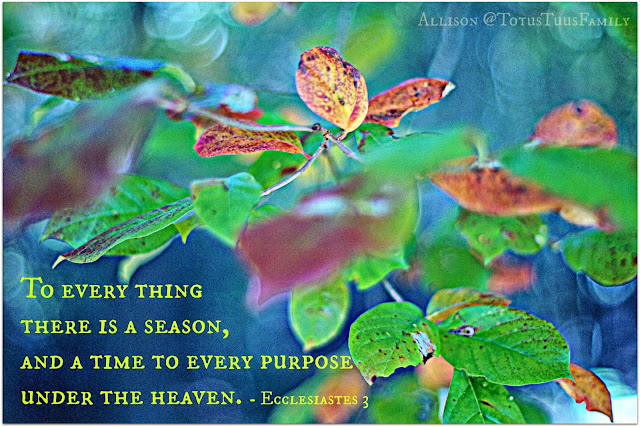 Fall Photos & Quotes - Totus Tuus Family & Catholic Homeschool