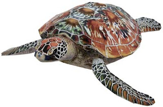 Papercraft - Green Sea Turtle - Papercraft4u | Free Papercrafts, Paper ...