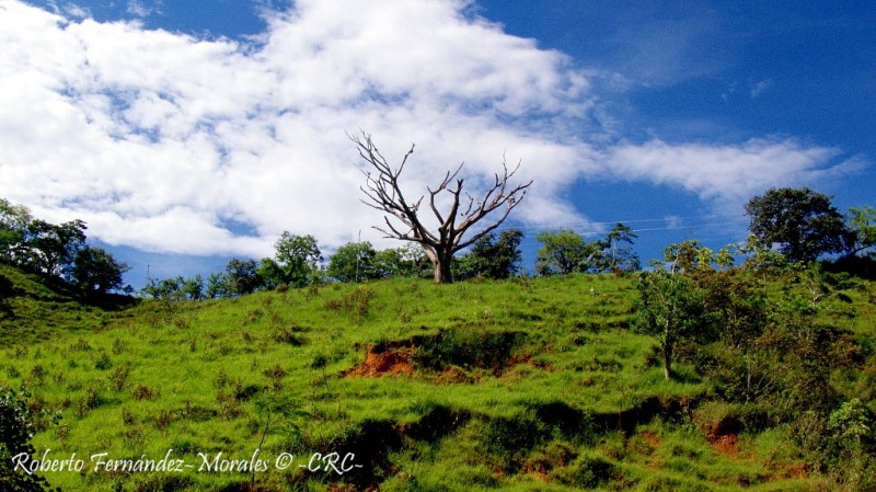 Llano Hermoso de Mercedes Sur de Puriscal | Explore Costa Rica
