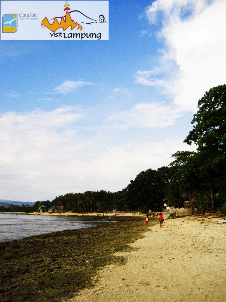 Foto Panorama Pantai Tanjung Setia, Krui