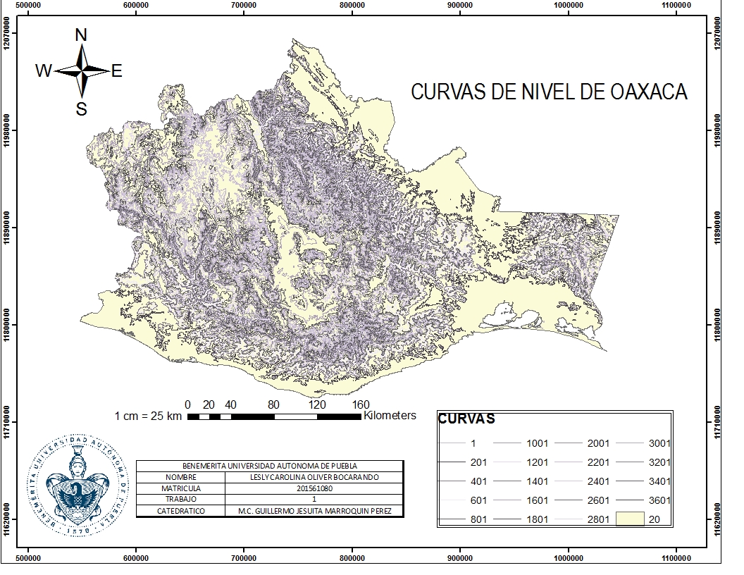 RELIEVE DE OAXACA (CURVAS DE NIVEL)
