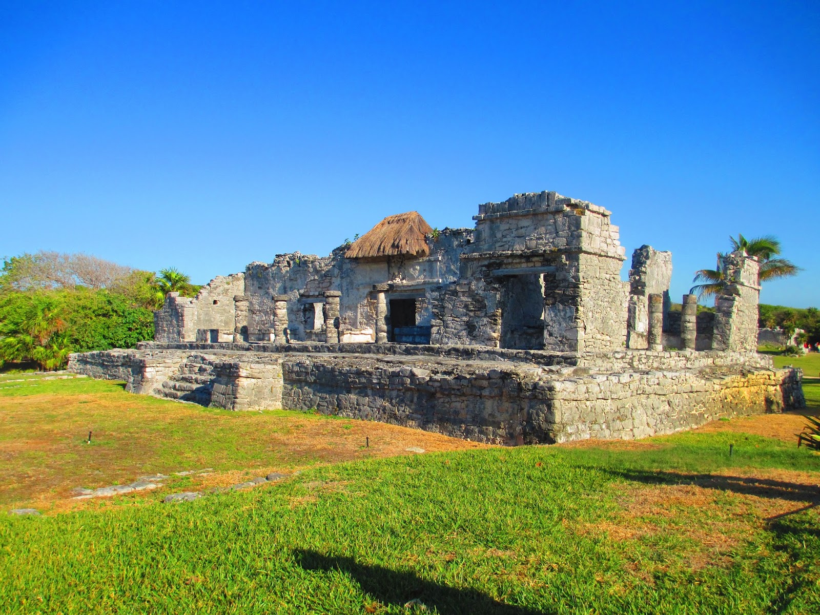 Travel Reviews & Information: Carnival Cruise Lines Shore Excursion ... Travel Reviews & Information: Carnival Cruise Lines Shore Excursion ...