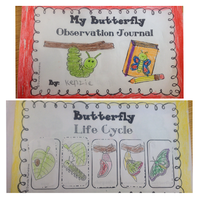 Krazee 4 Kindergarten: Butterflies!