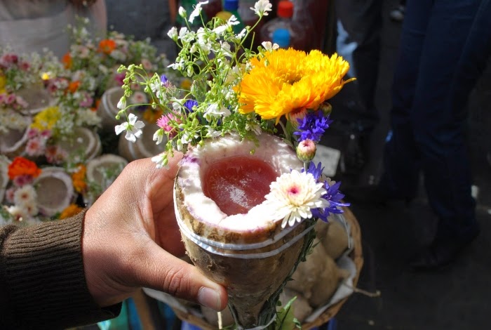 Ajipa, el tubérculo chaqueño que ayuda a controlar la gastritis ...