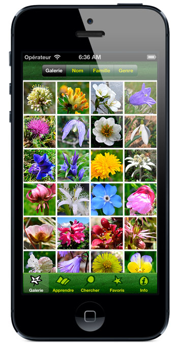 Formation fleuriste - Blog sur le métier de fleuriste: Cap fleuriste ...
