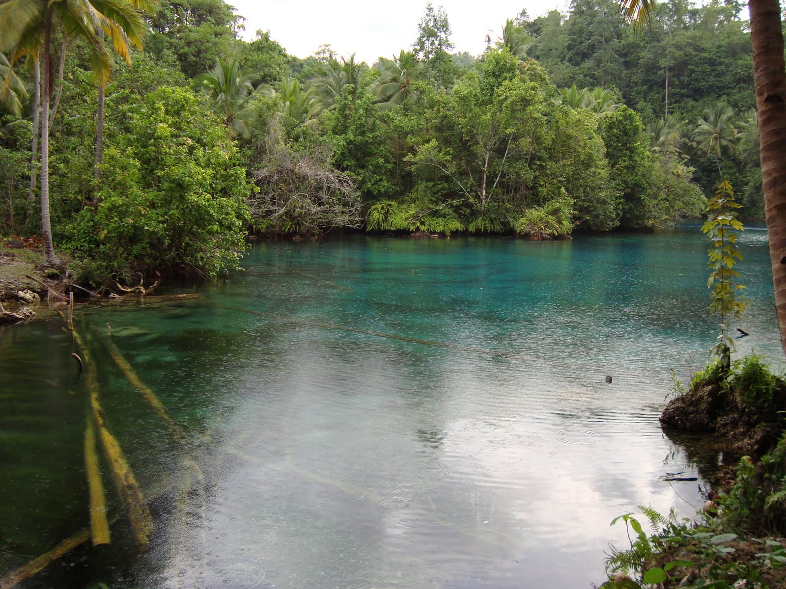 Peling Island : Hidden paradise in the east of Sulawesi - Trevindos