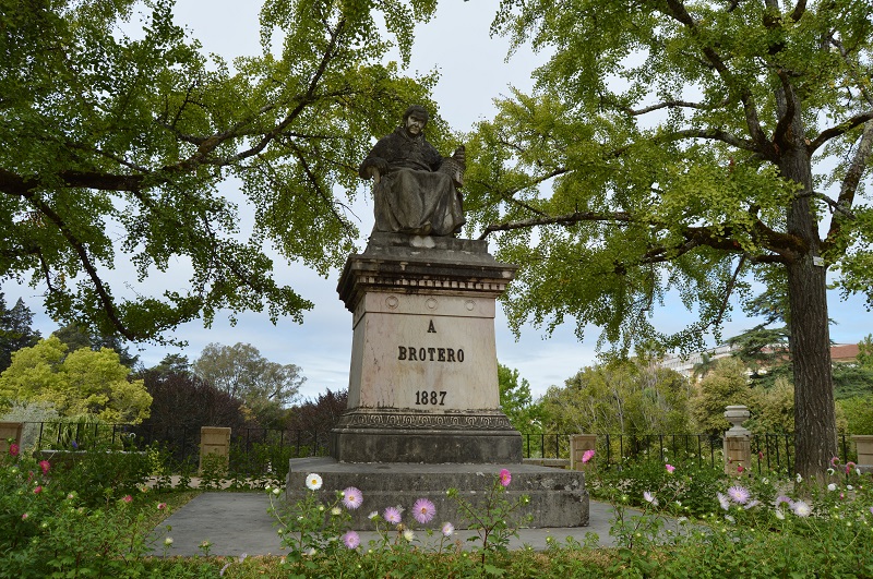 Bucólico Anónimo : Jardim Botânico de Coimbra