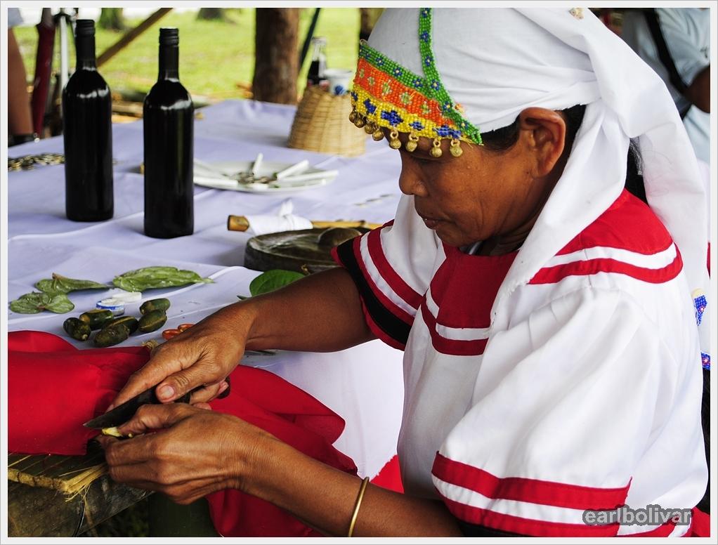 Bukidnon Photo Journal: Kaamulan Festival 2011: The Pamuhat Ritual