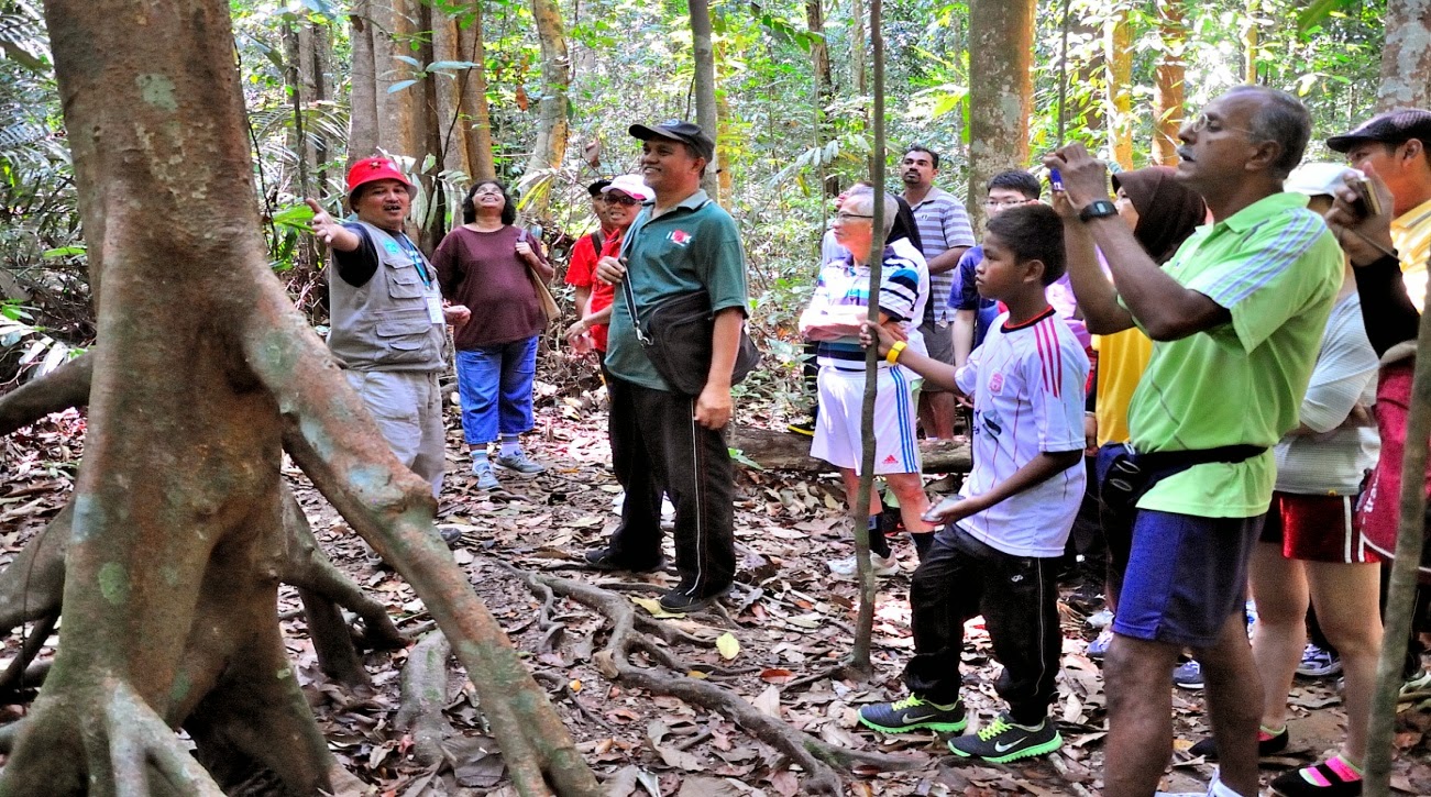 Forest Research Institute Malaysia (FRIM): Activities in FRIM