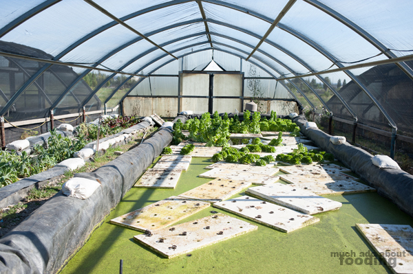 Meet Future Foods Farms, Developed by California's Agricultural ...