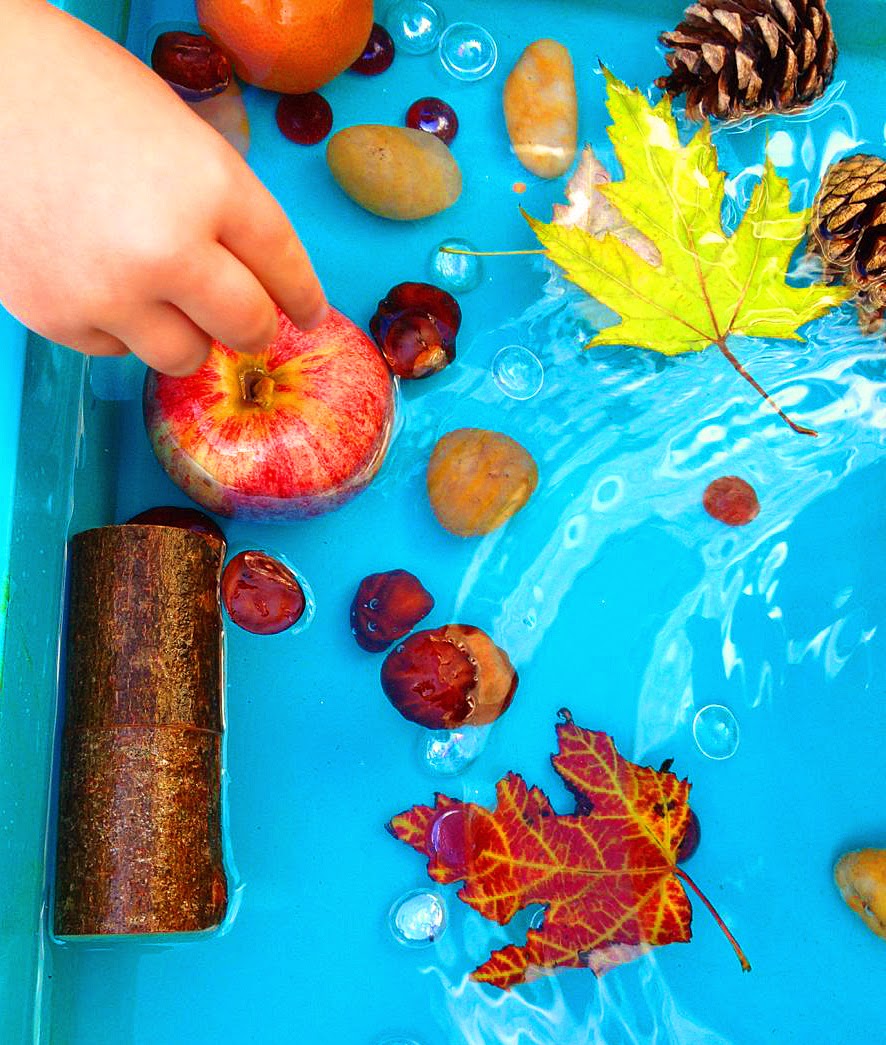 Berkeley Childminding: Autumn Sink or Float