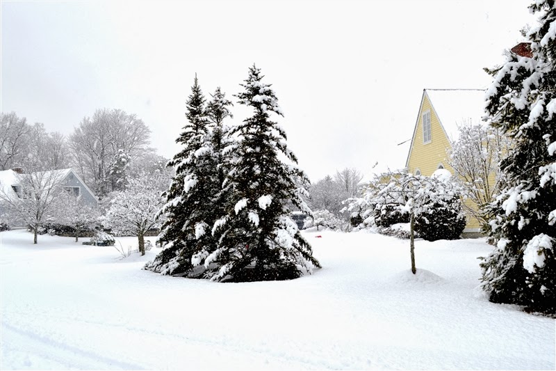 Capadia Designs: Fluffy Cotton Snow