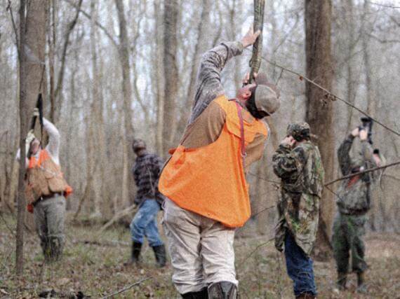 Apalachicola National Forest Hunting