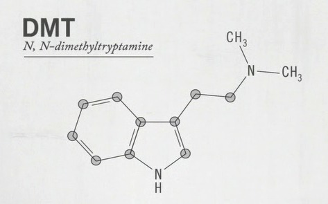 DMT natural: Como produzco tanta DMT (Mi técnica de Meditacion)