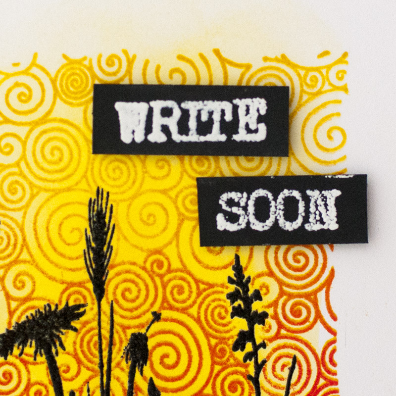 IndigoBlu Blog: Write Soon