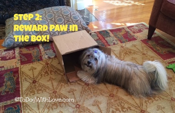 To Dog With Love: Box Games for Dogs: Go Hide!