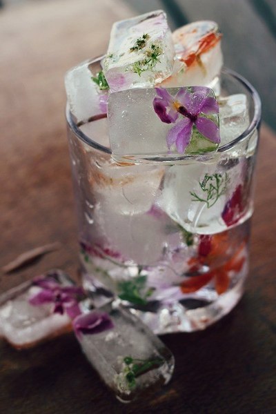 Recipe: Flower Ice Cubes ~ the nicest things