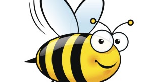 MADU LEBAH: CARA MENGENAL PASTI MADU ASLI